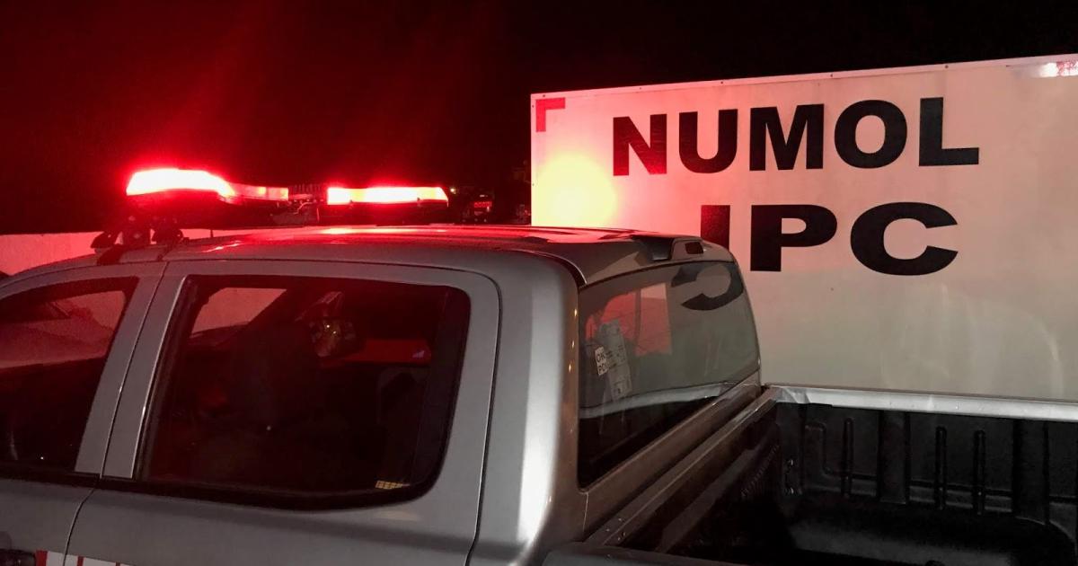 Portal T5 | Nove pessoas são assassinadas em quatro dias na Grande…