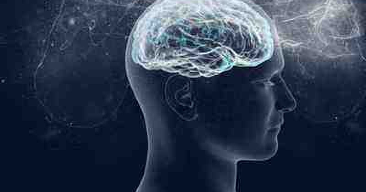 Portal T5 | Neurocientista dá dicas de jogos para estimular o cérebro